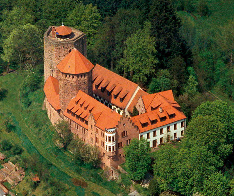Luftaufnahme-Burg-Rieneck-1994-Postkarte_Web - Film Falken Luftaufnahme-Burg-Rieneck-1994-Postkarte_Web - Film Falken